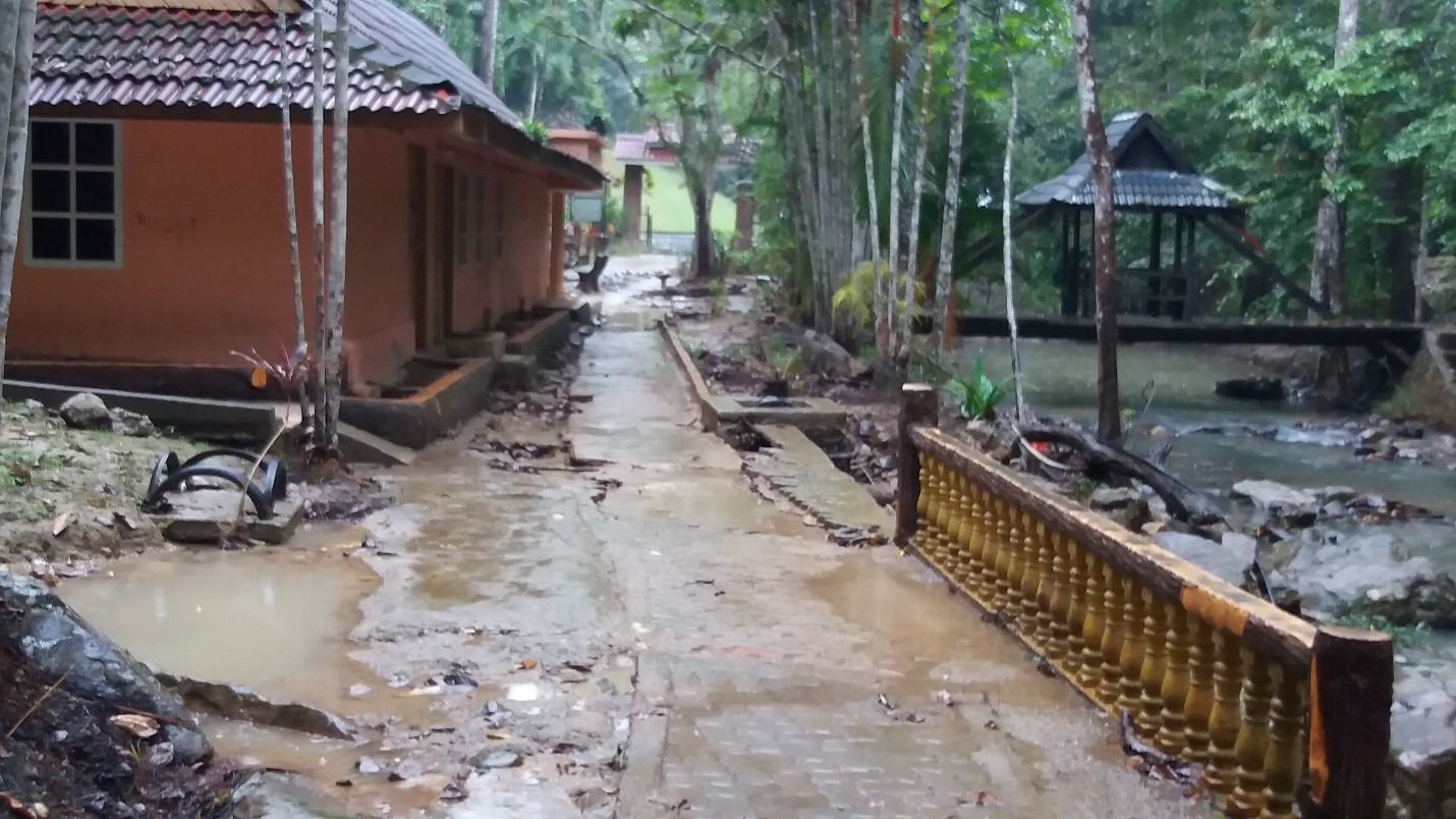 Mohd Faiz bin Abdul Manan: Hutan Lipur Bukit Wang