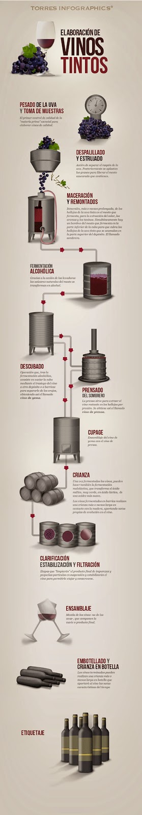 Revulsive: Elaboración del Vino Tinto [TORRES infografía]
