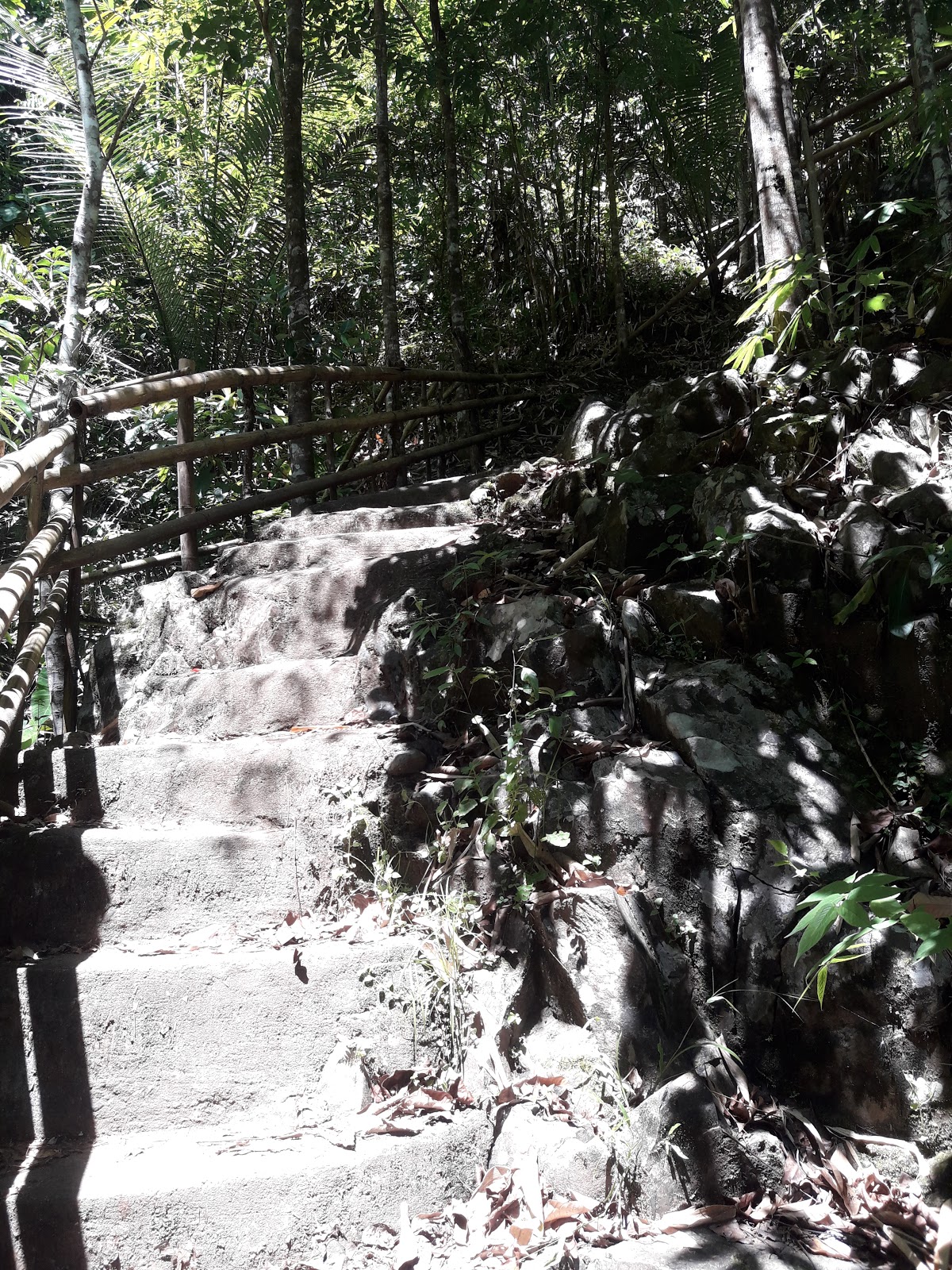 The Restless Soles: Mt. Humarap: A Complete Travel Guide