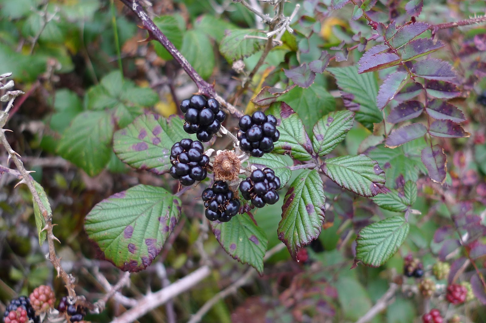 Simplicity is the New Black: 2012