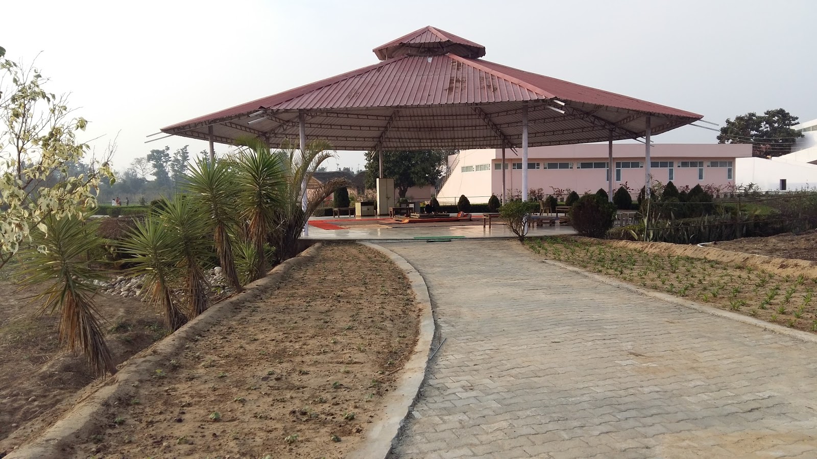 HealthyLyf: Patanjali yog gram - Reviews - My experience - in Haridwar