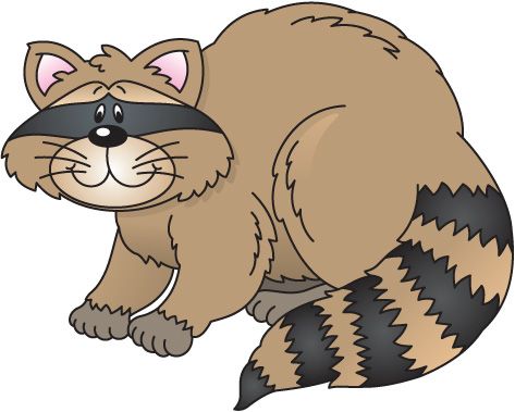 RECURSOS y ACTIVIDADES para Educación Infantil: Imagenes a color: MAPACHE