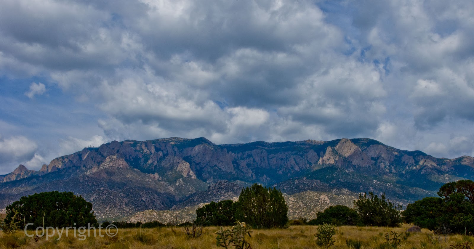 Kaleb Davis Photograpghy