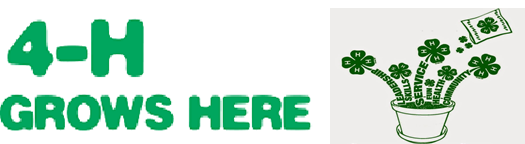 Warren County 4-H: 4-H Green Gardens