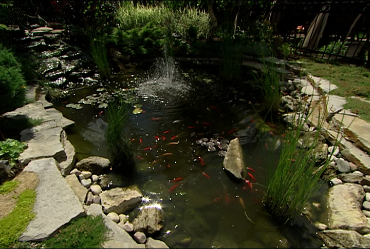Laguna Ponds: Laguna Spring Tour