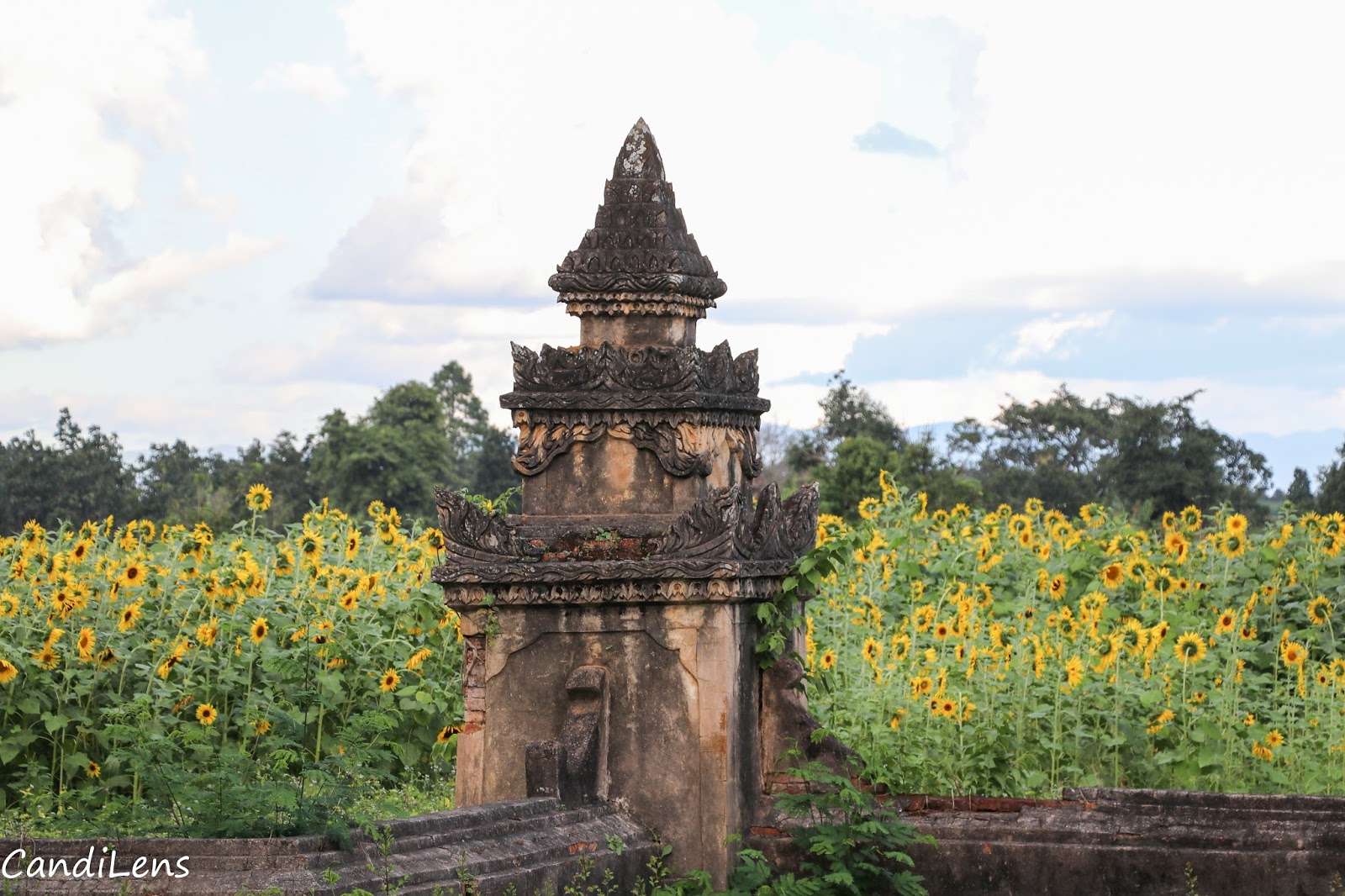 My life in Myanmar: Visiting the Kayah State