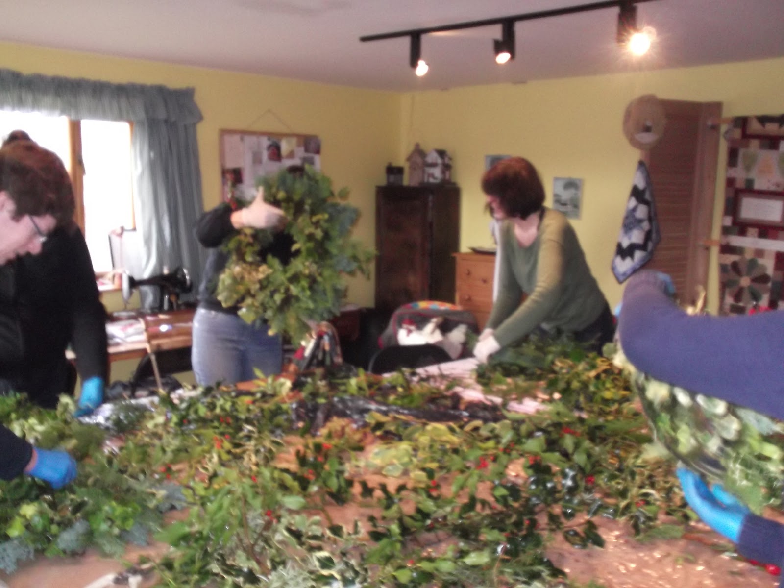 LORNE HILL FARM: Ooops