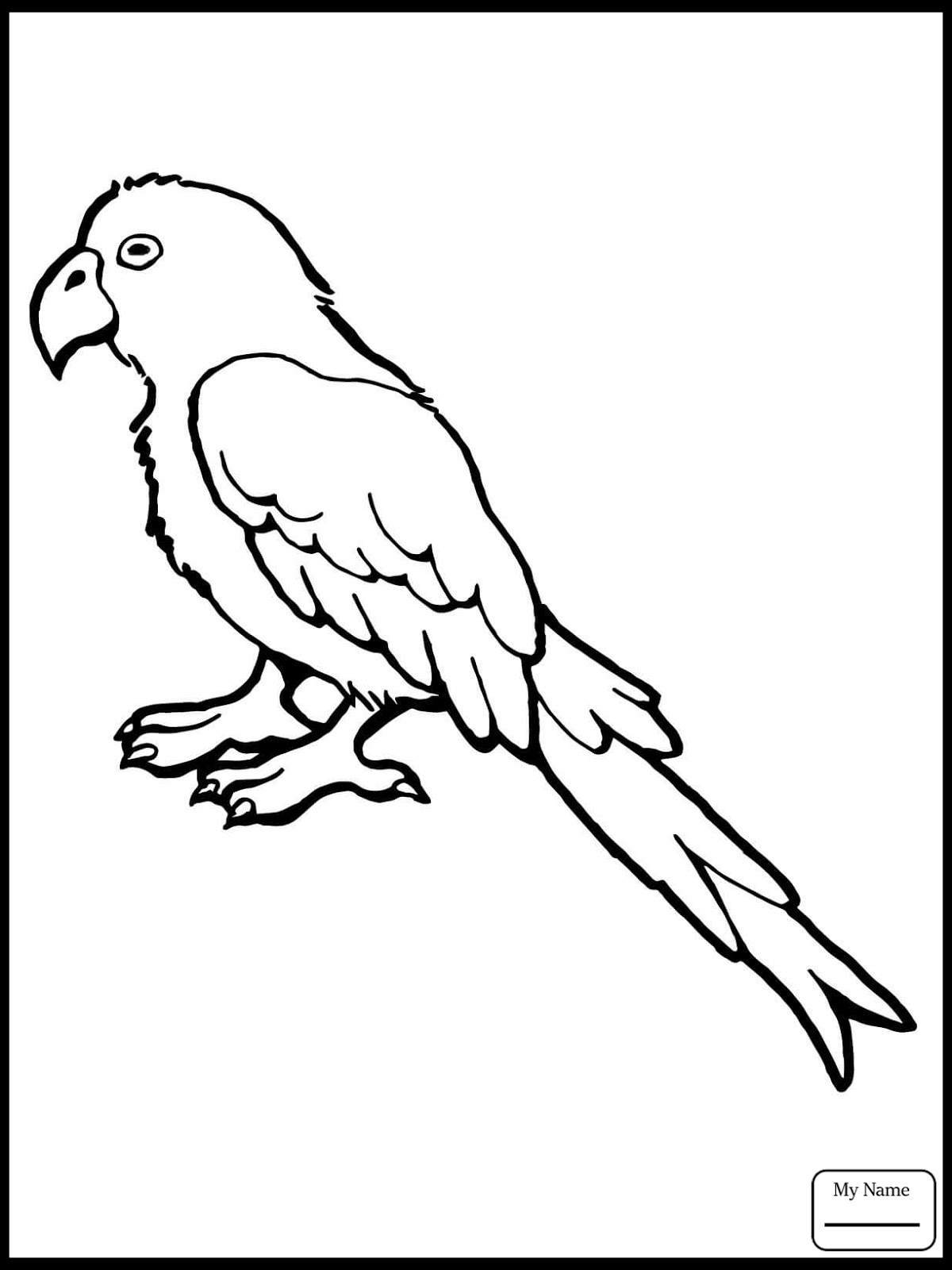 parrots coloring pages - jiahajava