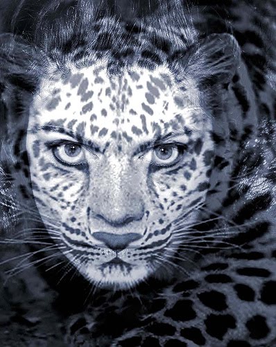 Pensamiento_Oscuro: wanda wulz