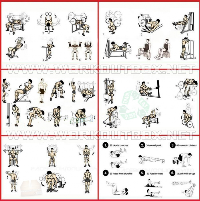 The Fitness Era: Full Week Workout Plan - 6 Days Body Training For ...