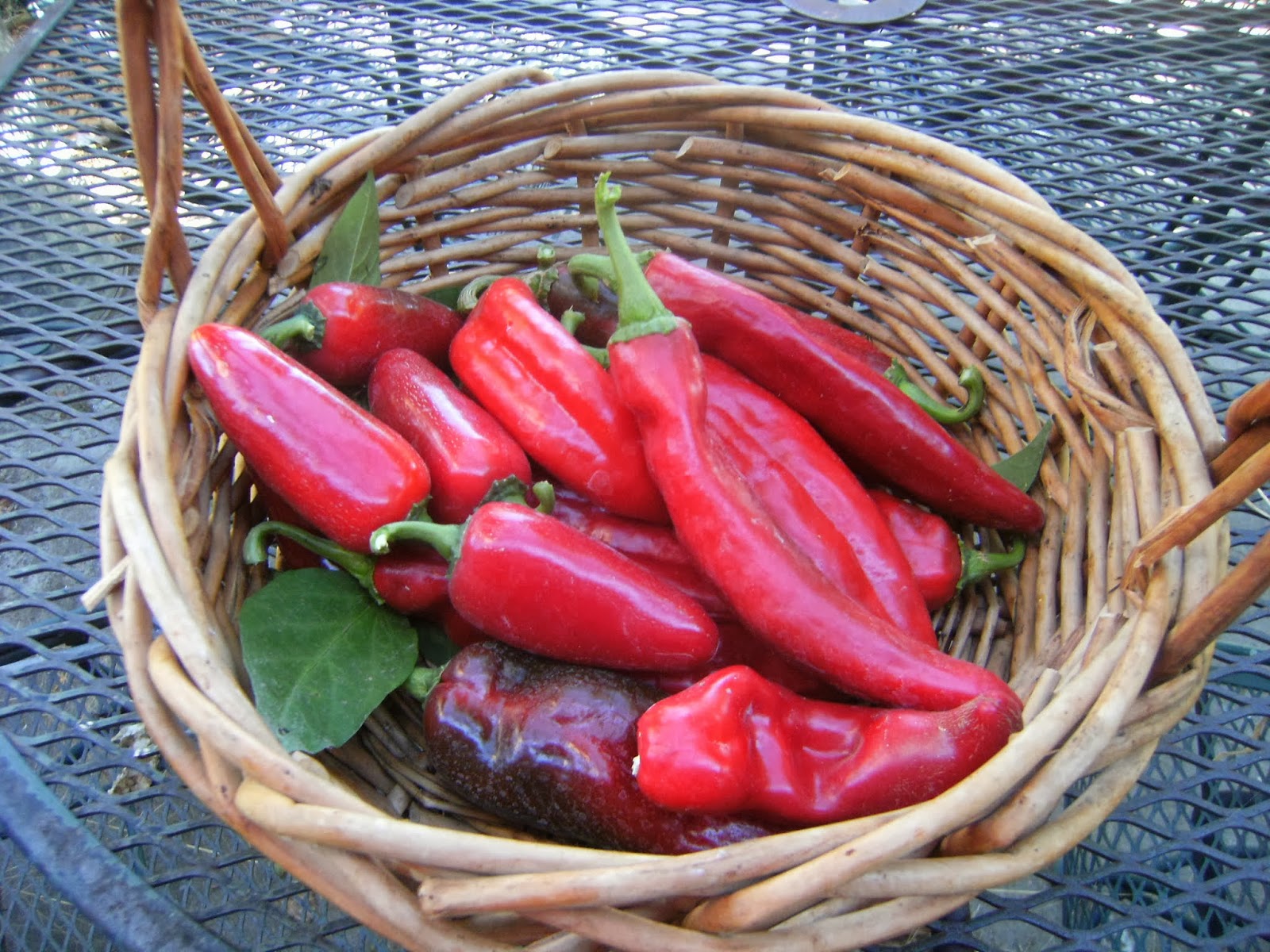 See the Beauty in the Ordinary: Jamming: Red Pepper Honey Jam