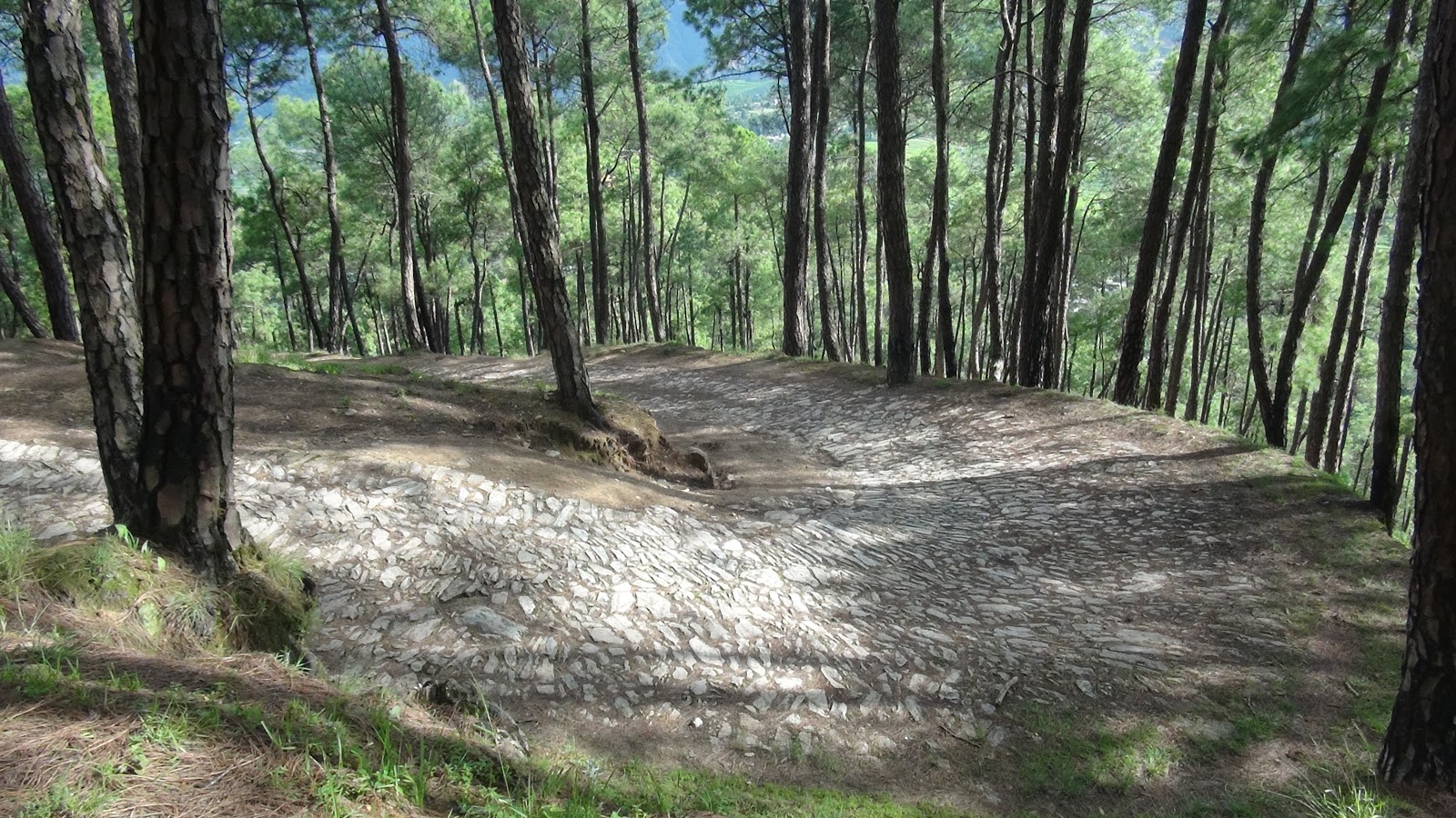 Amazing Place| Hattiban, Pharping | Way to Champadevi Temple