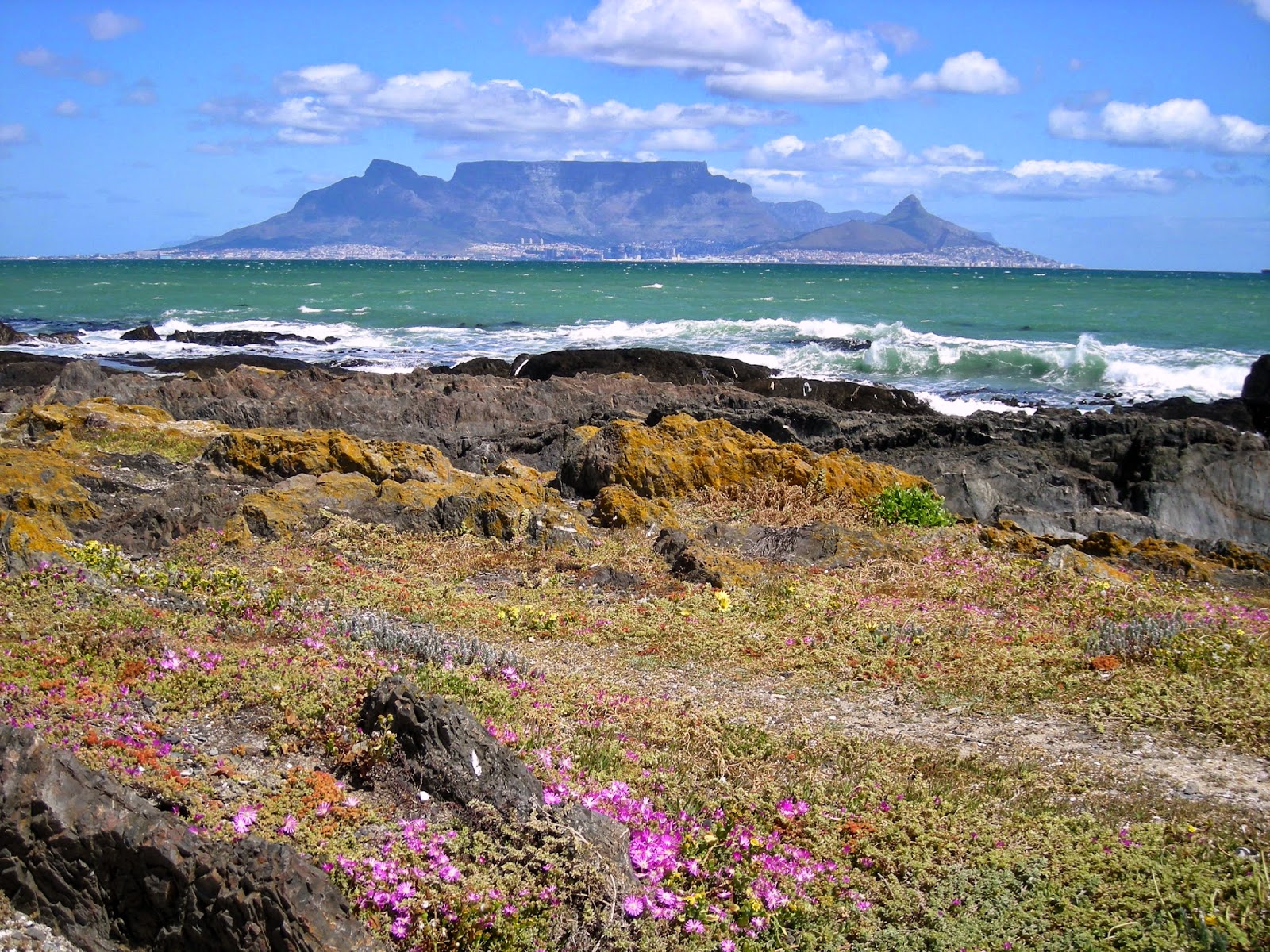 TravelComments.com Official Blog: South Africa: Table Mountain National ...