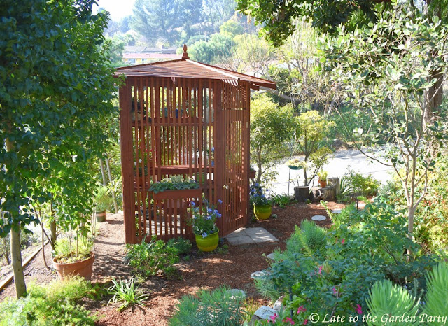 Late to the Garden Party: The lath house gets dressed up