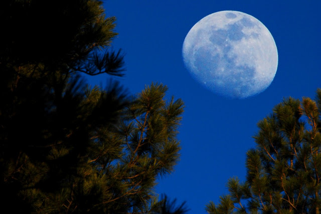 20+ Beautiful Sun & Moon Photographs - The World Of Photography