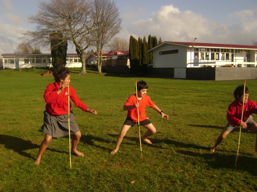 Room 10 Tokoroa Intermediate: Rakau Tu- another traditional Maori game ...