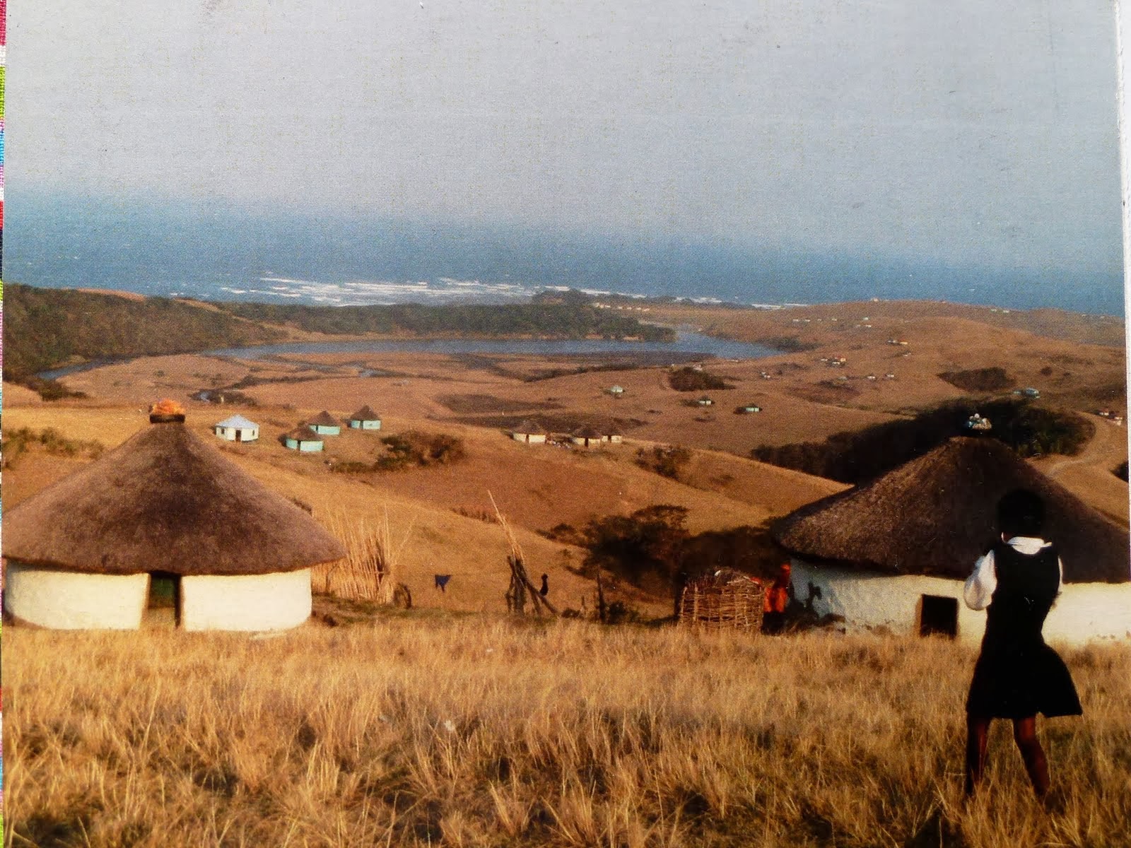 EL BLOG DE CEE, una lectora: El largo camino hacia la libertad ...