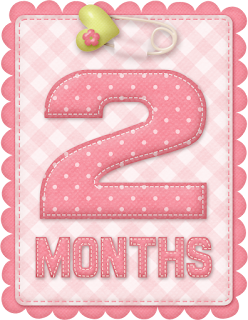 Free Printable Baby Month Counter for Girls. - Oh My Baby!