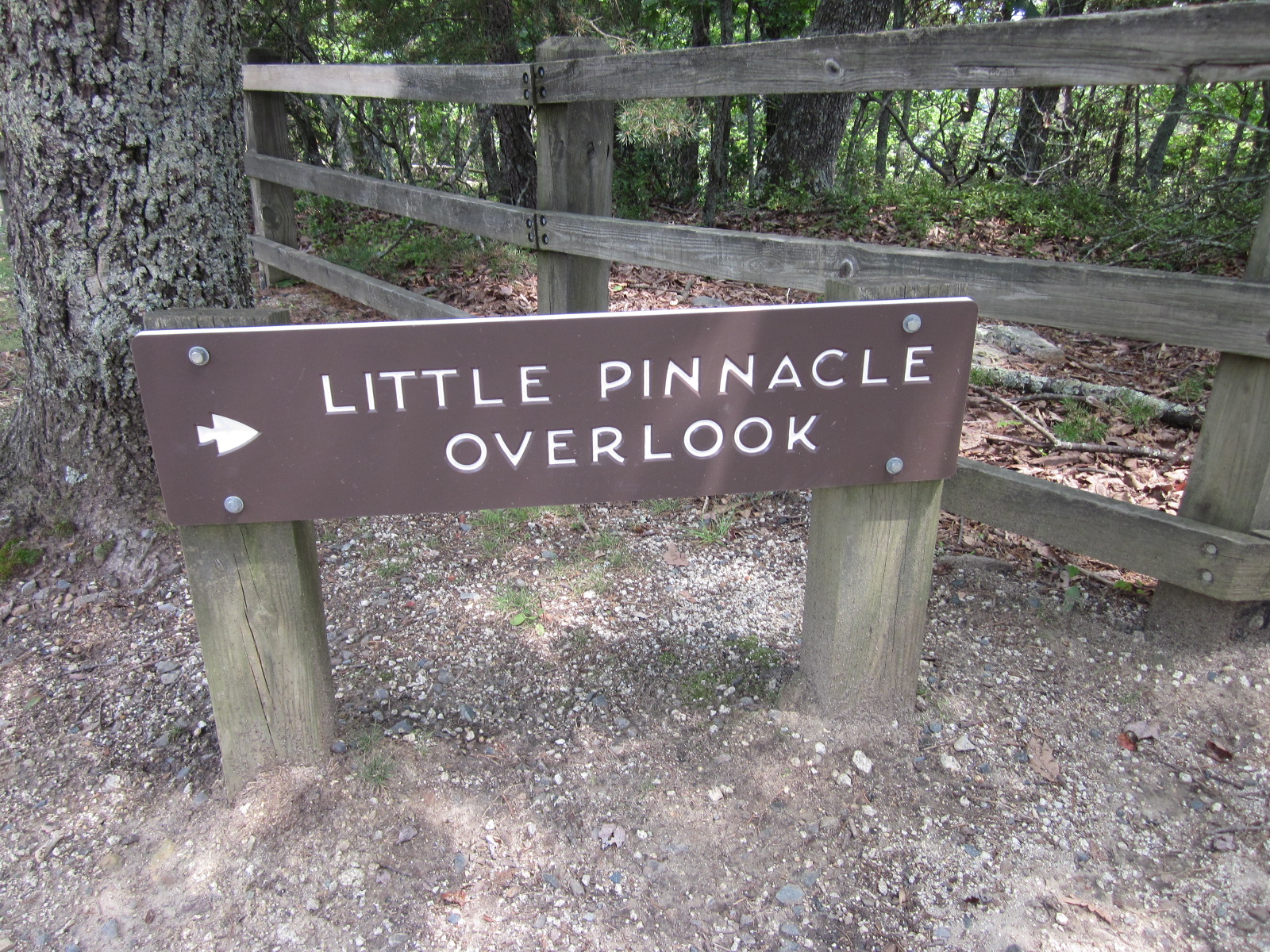 Travel NC With Kids: Pilot Mountain State Park's Little Pinnacle ...