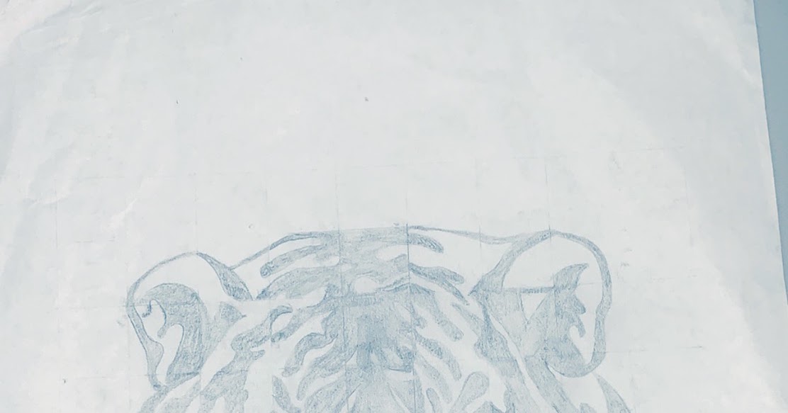 puzzle grid tiger drawing