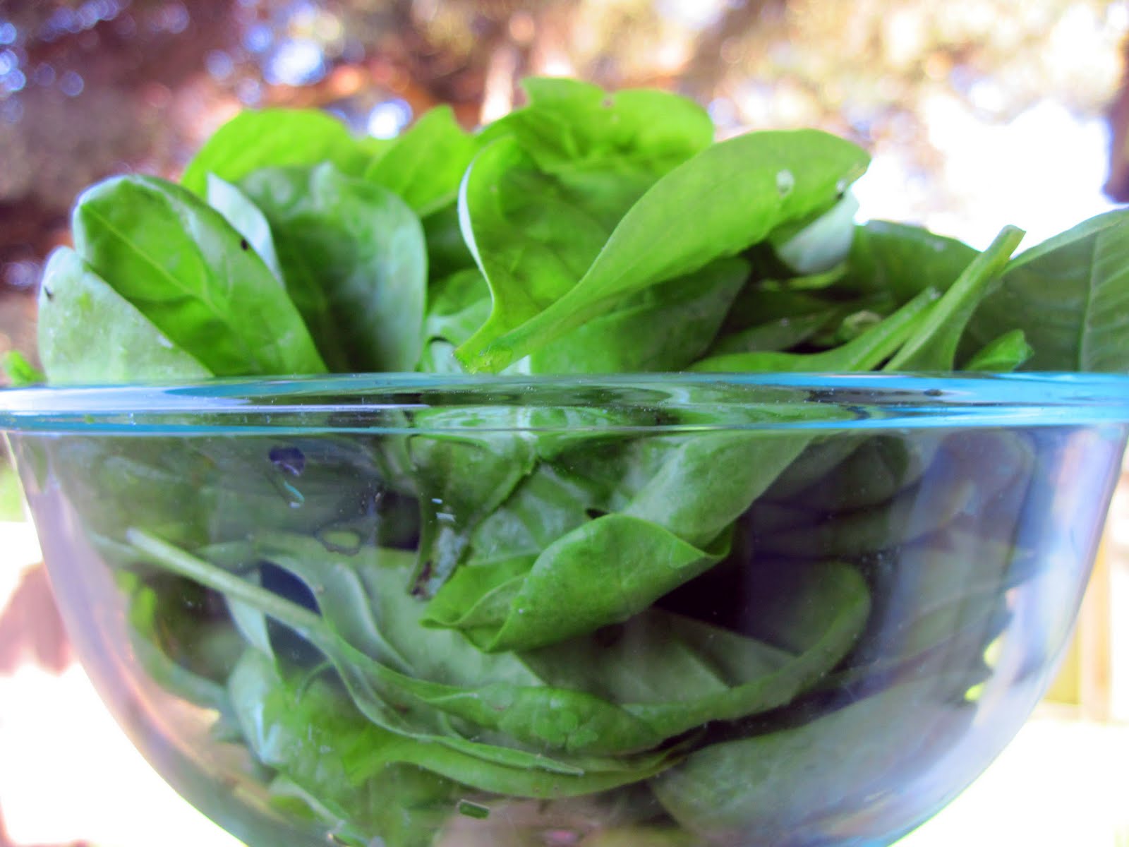 Living Food Junkie: It's spinach time!