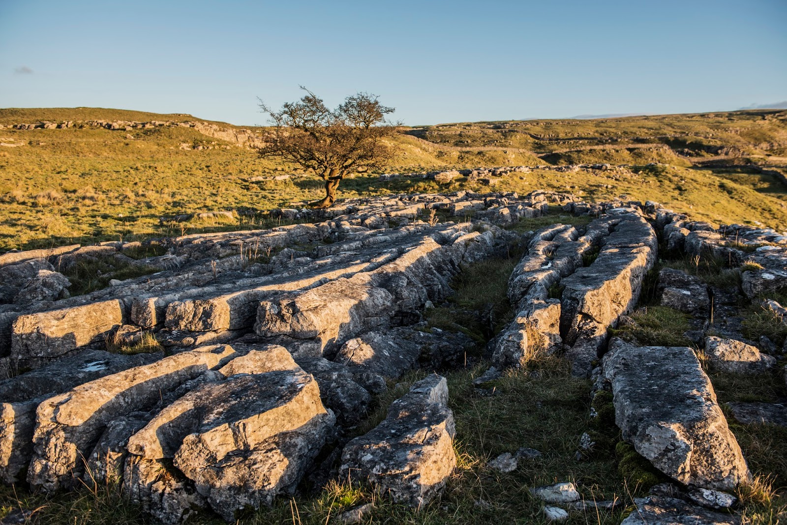 Wigtwizzle - Norman Smith's Travel Blog.: Winskill Stones