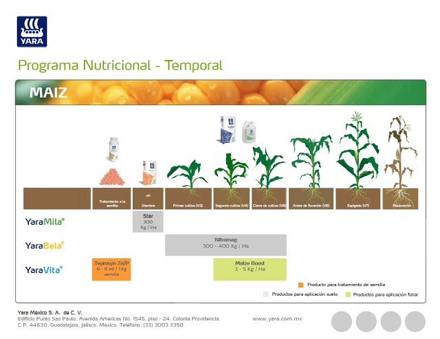 FENOLOGÍA DE CULTIVOS