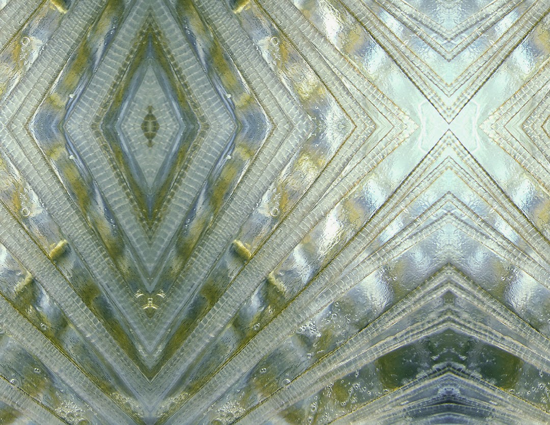 Zoë Design: Day 51 ~ Wallpaper-a-day “Margate Fin”