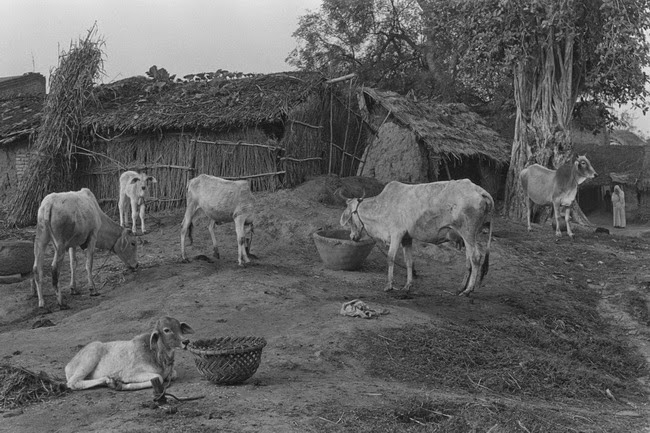 Amazing Black and White Photographs Captured Daily Life of India in the ...