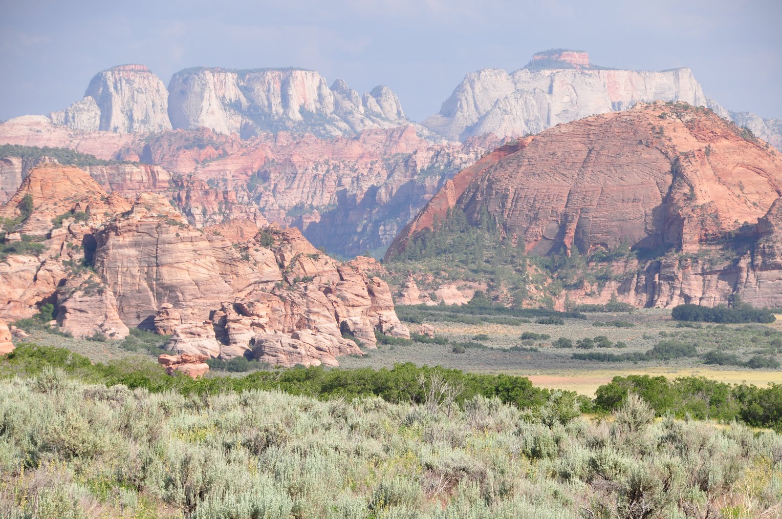 Photo and Travel Log: Zion Kolob Terrace Drive