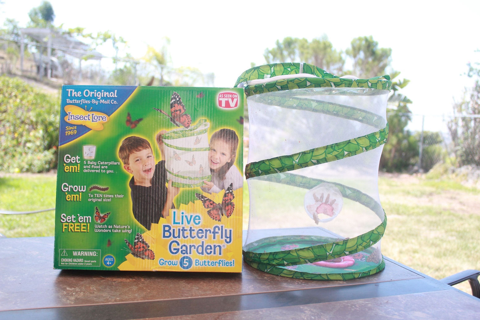 Live Butterfly Garden - One Whimsy Lane