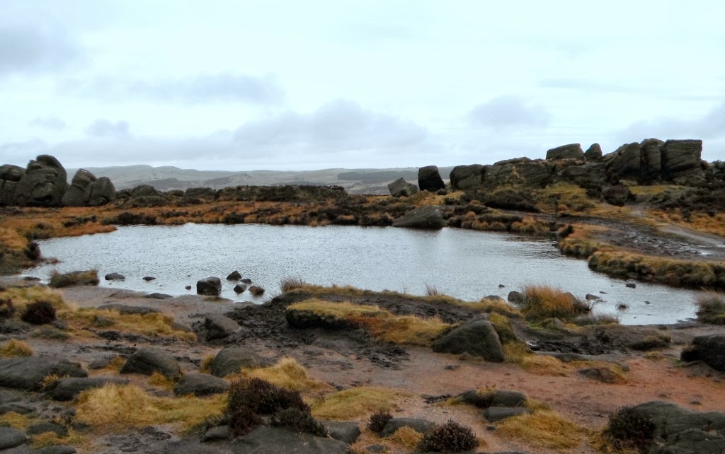 Staffordshire Photo: A day for monsters