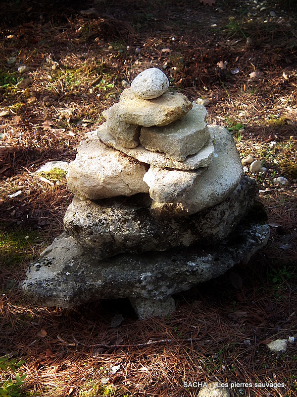 Un jour....Une photo !: janvier 2017