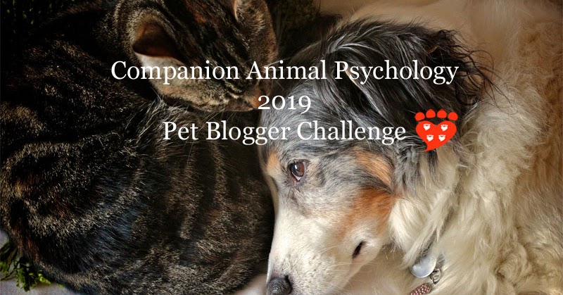 The 2019 Pet Blogger Challenge