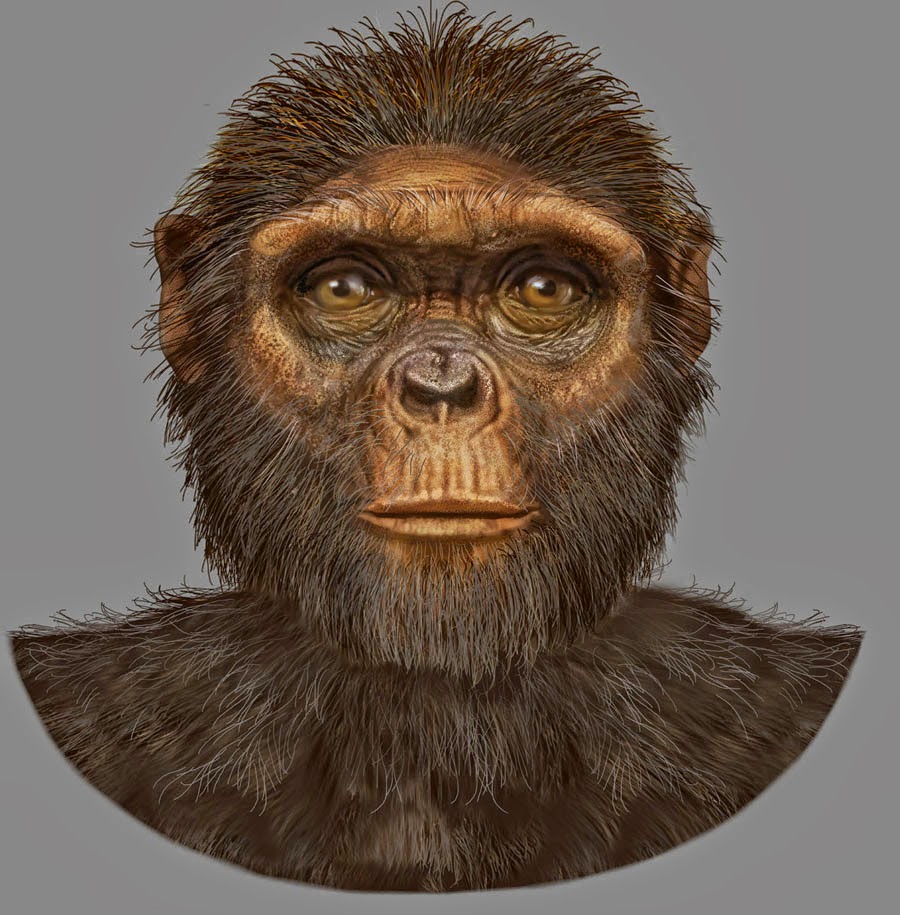 Human curiosity: Down on the ground - and what next?