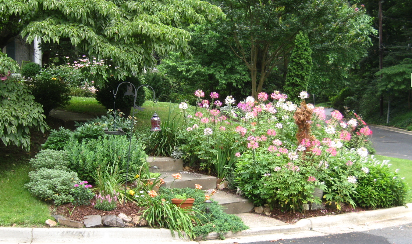 randuwa: My Neighbor's Gardens!