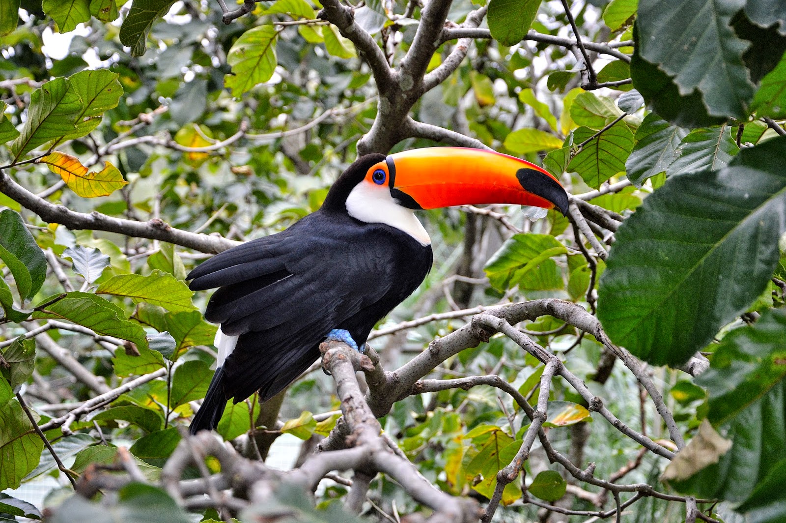 FOTOGRAFIARAYODELUNA.- VIAJES, SENDEROS, MONTAÑA Y NATURALEZA: BOLIVIA ...