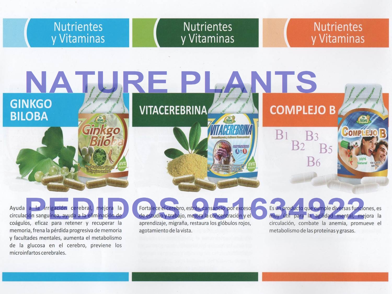 MAS NATURAL CATALOGO CAPSULAS