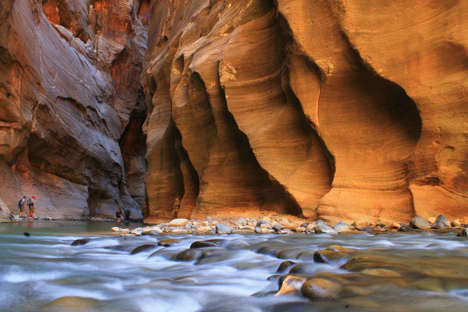 Parque Nacional Zion o Acantilados Blancos en Utah