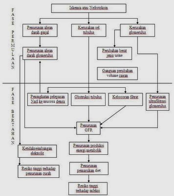 Nurse DyNy GreaT....: Pathway GGK dan GGA