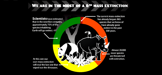 Better data needed to stop sixth mass extinction | Geology In