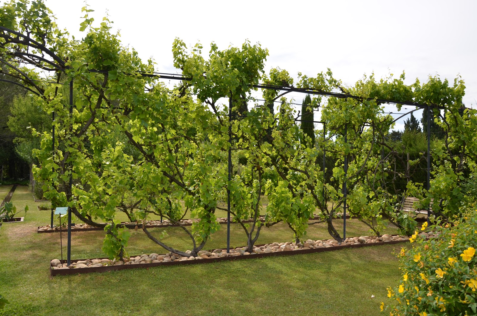4 coins au jardin: Le Jardin de l'Alchimiste à Eygalières...parcours ...