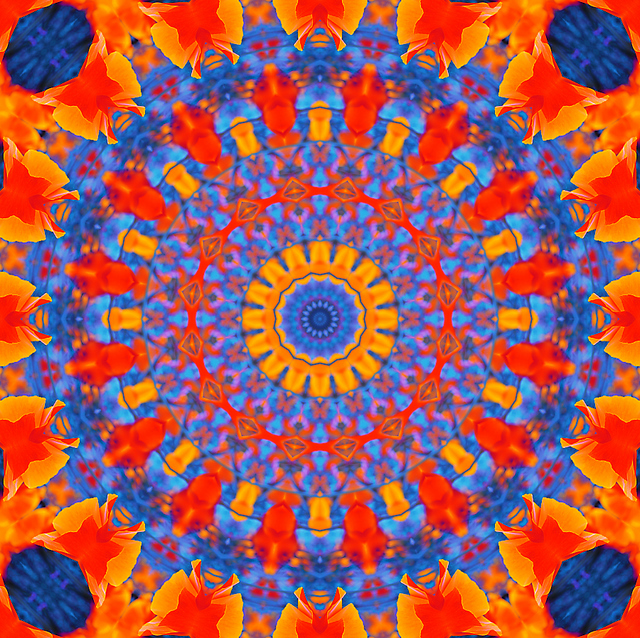 Healing With Ruth: Chakra Series - Part Two: Sacral Chakra