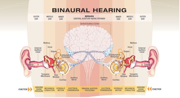 wheelchair: Binaural Hearing Aids...Do I really NEED TWO