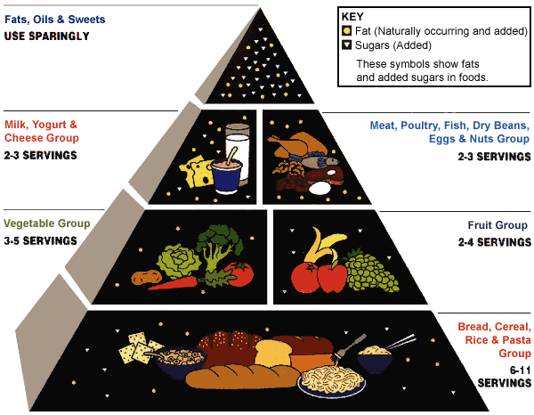 Healthy Food Pyramid | Diet Plan
