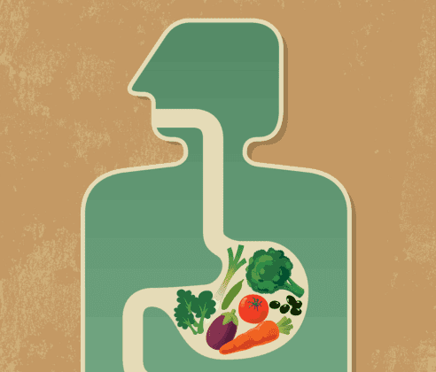 Ciências e Biologia: Você sabe quanto tempo dura a digestão dos alimentos?