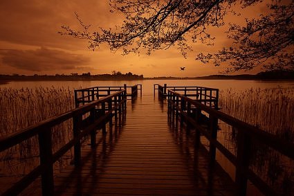 Shannon's Digital Photo blog: Types of Perspective in Photography