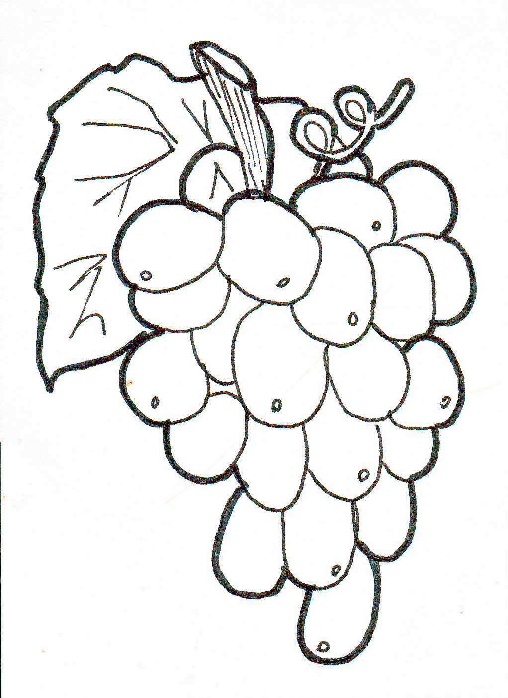 Családra hangolva: A szőlő - fáradtság ellen