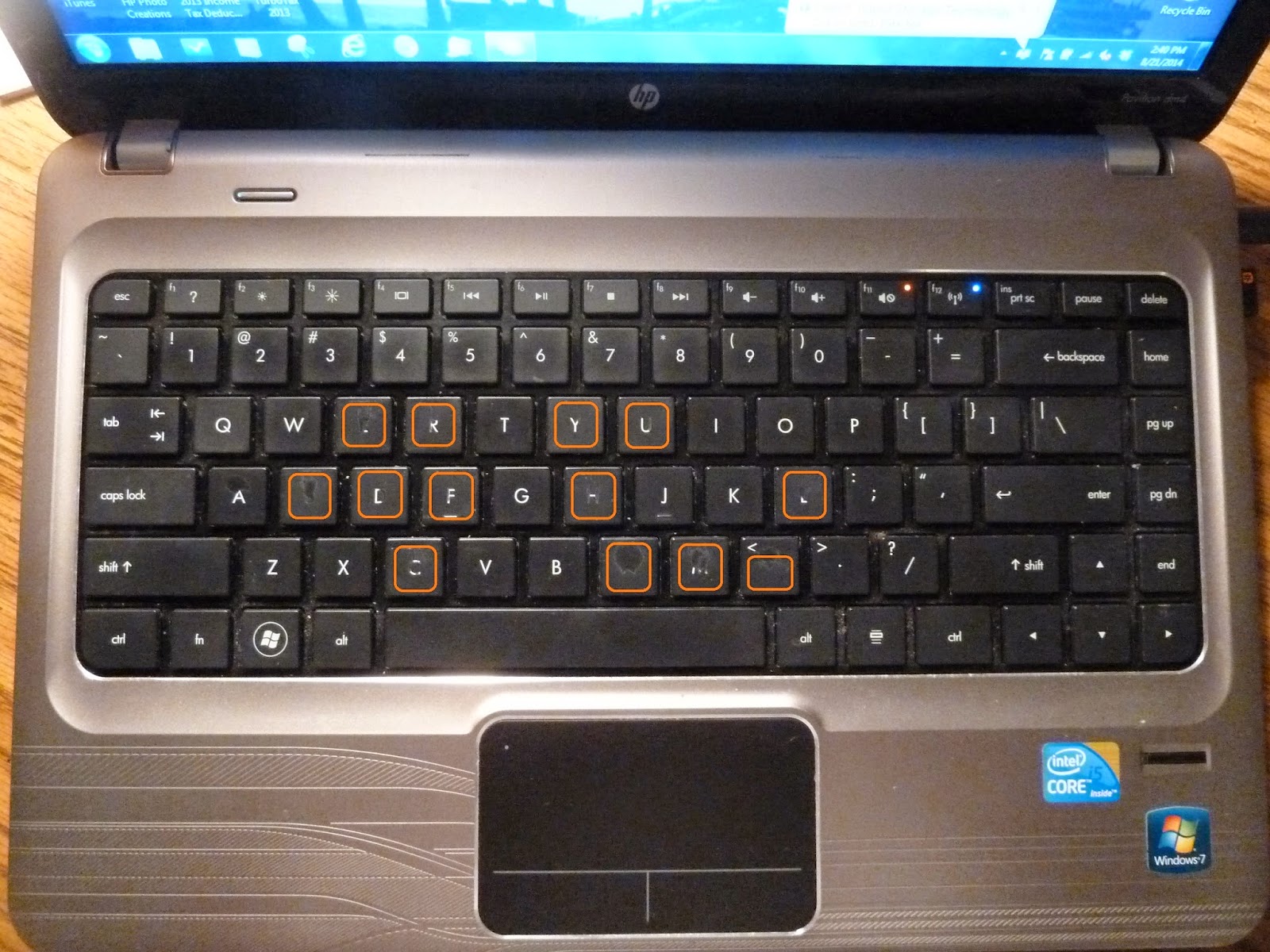 Celebrating Family Stories: What To Do, What To Do ...