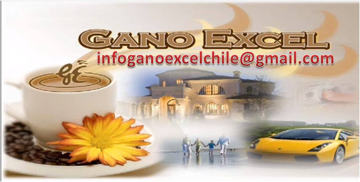 ABRE GANO EXCEL CHILE : GANO EXCEL CHILE